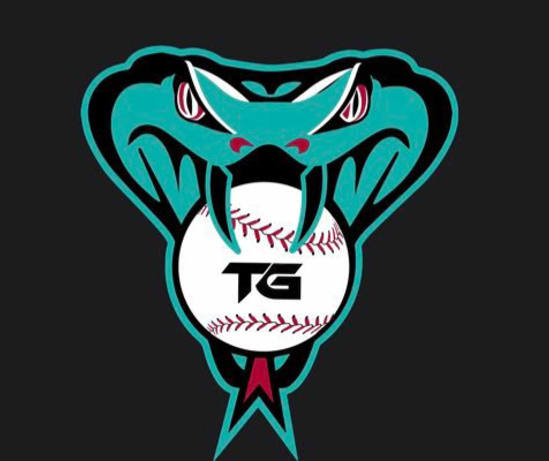 TG DBacks Uses Travel Baseball to Teach Life Lessons - ITG Next
