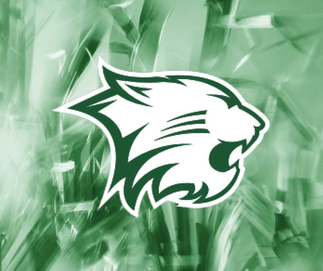 Westminster School Named ITG Next 2021-22 Georgia Athletic Program of ...