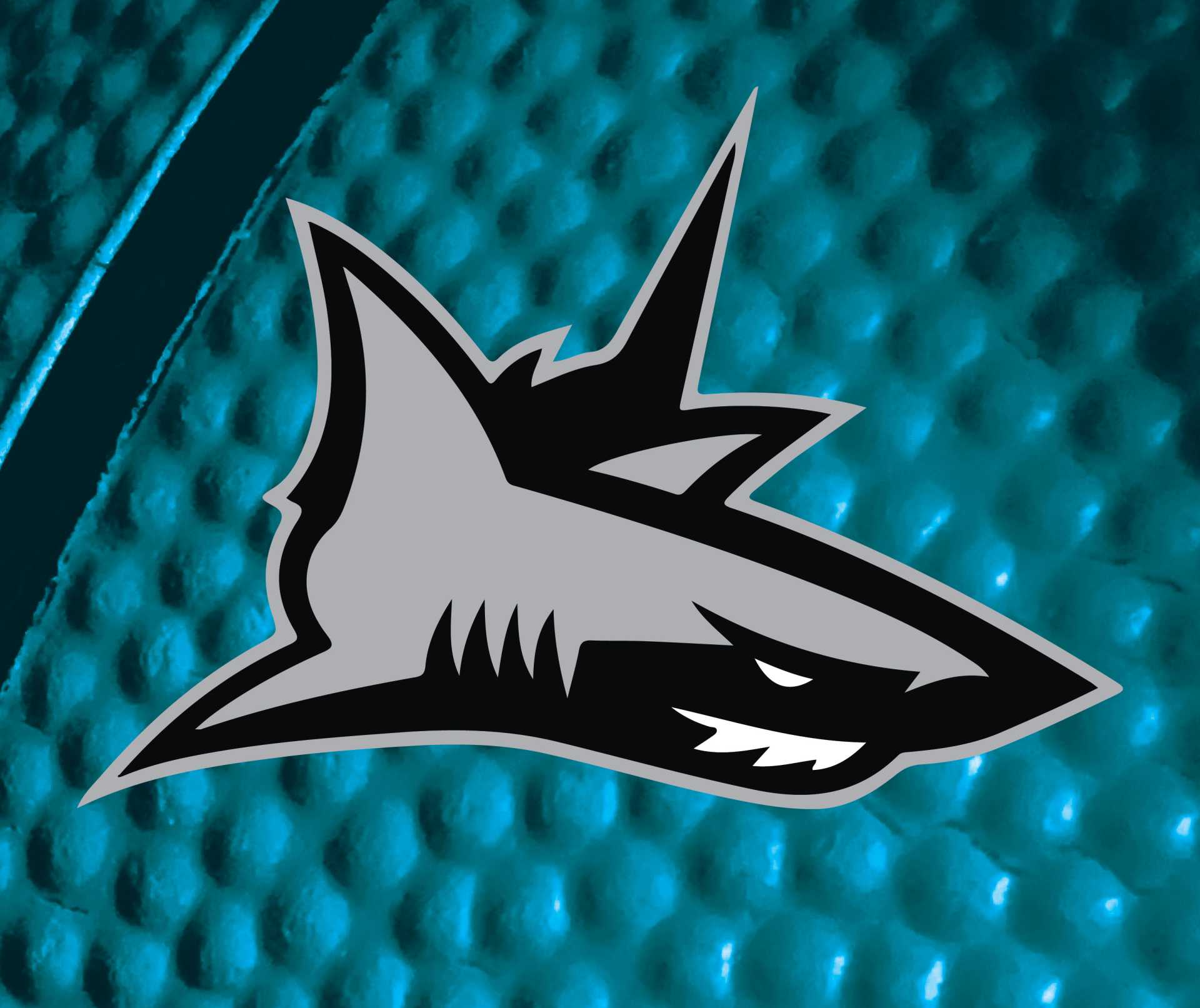 4 Questions with Ponte Vedra Boys Basketball Coach Ben Wilson - ITG Next