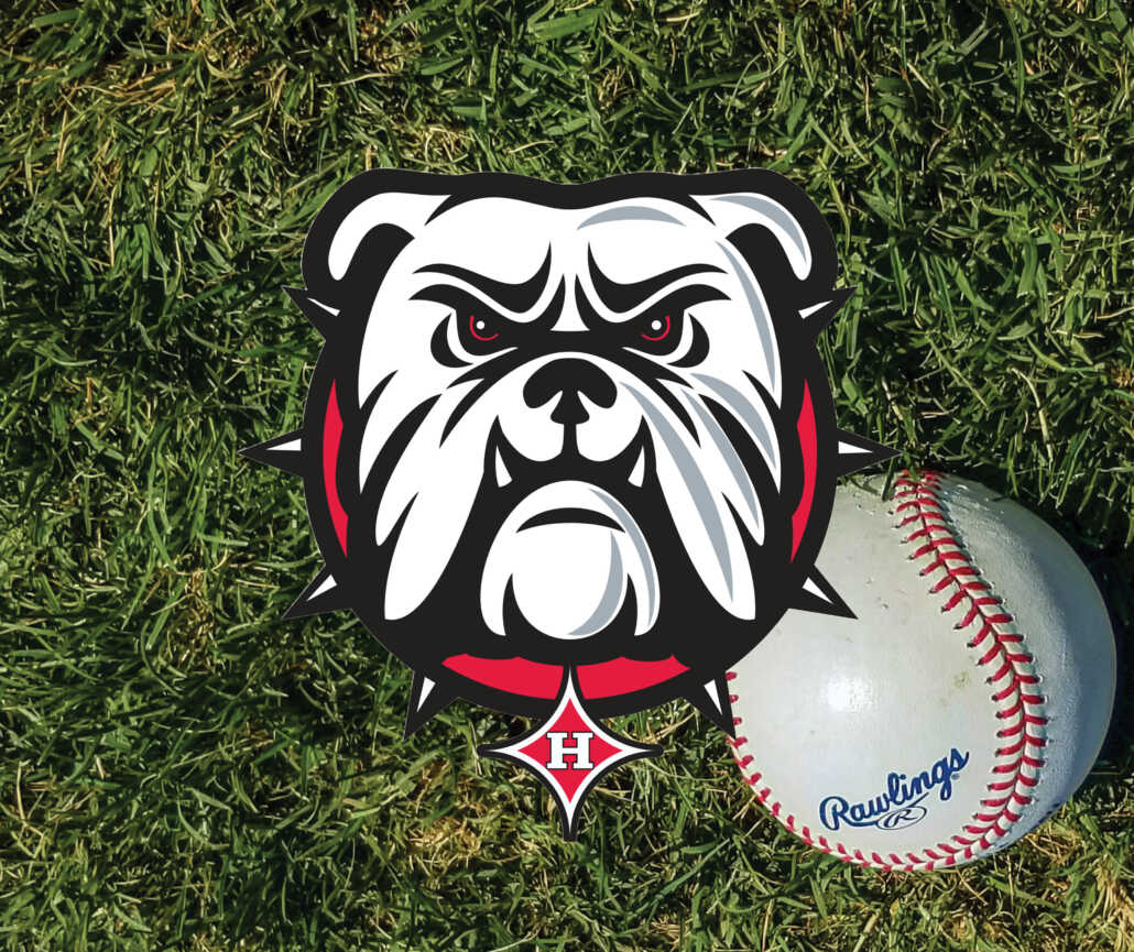 Harlem Baseball Recaptures Historic Excellence - ITG Next