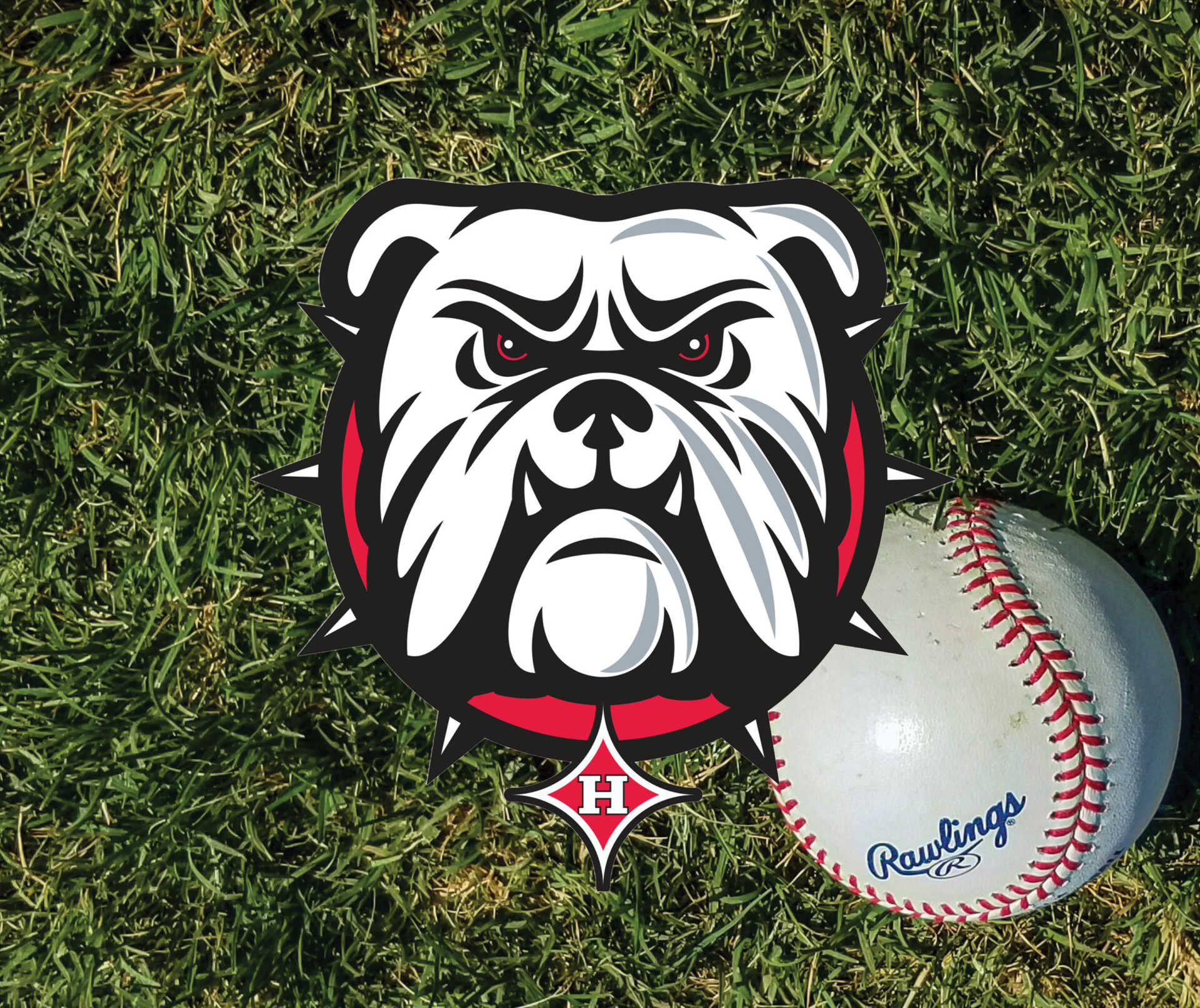 Harlem Baseball Recaptures Historic Excellence - ITG Next