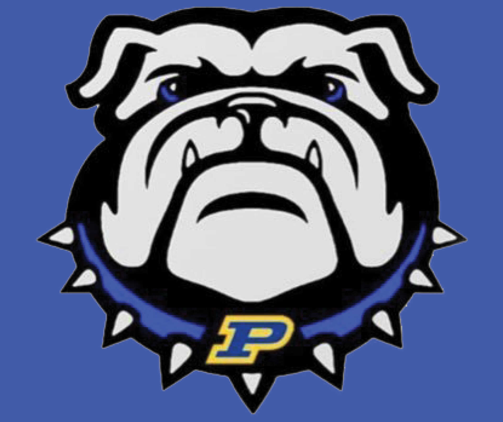 Jack Hayes Secures Spot Among Great Alabama High School Quarterbacks ...