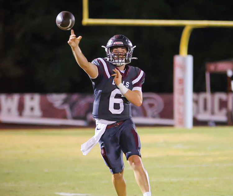Florida Male Athlete of the Month: Wiregrass Ranch QB Luke Knight - ITG ...