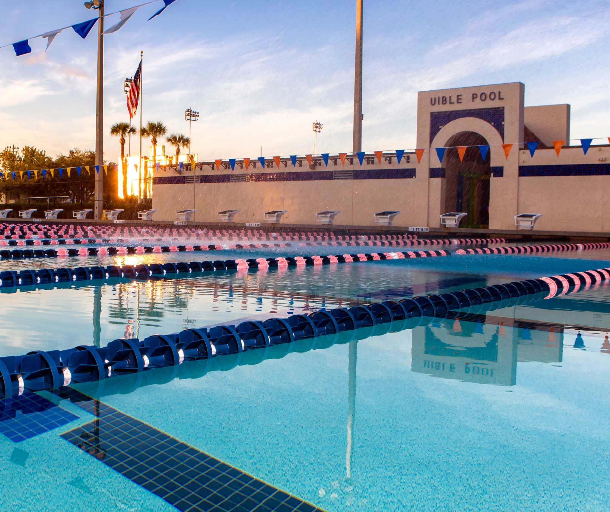 Bolles Swimming Olympic Lineage - ITG Next