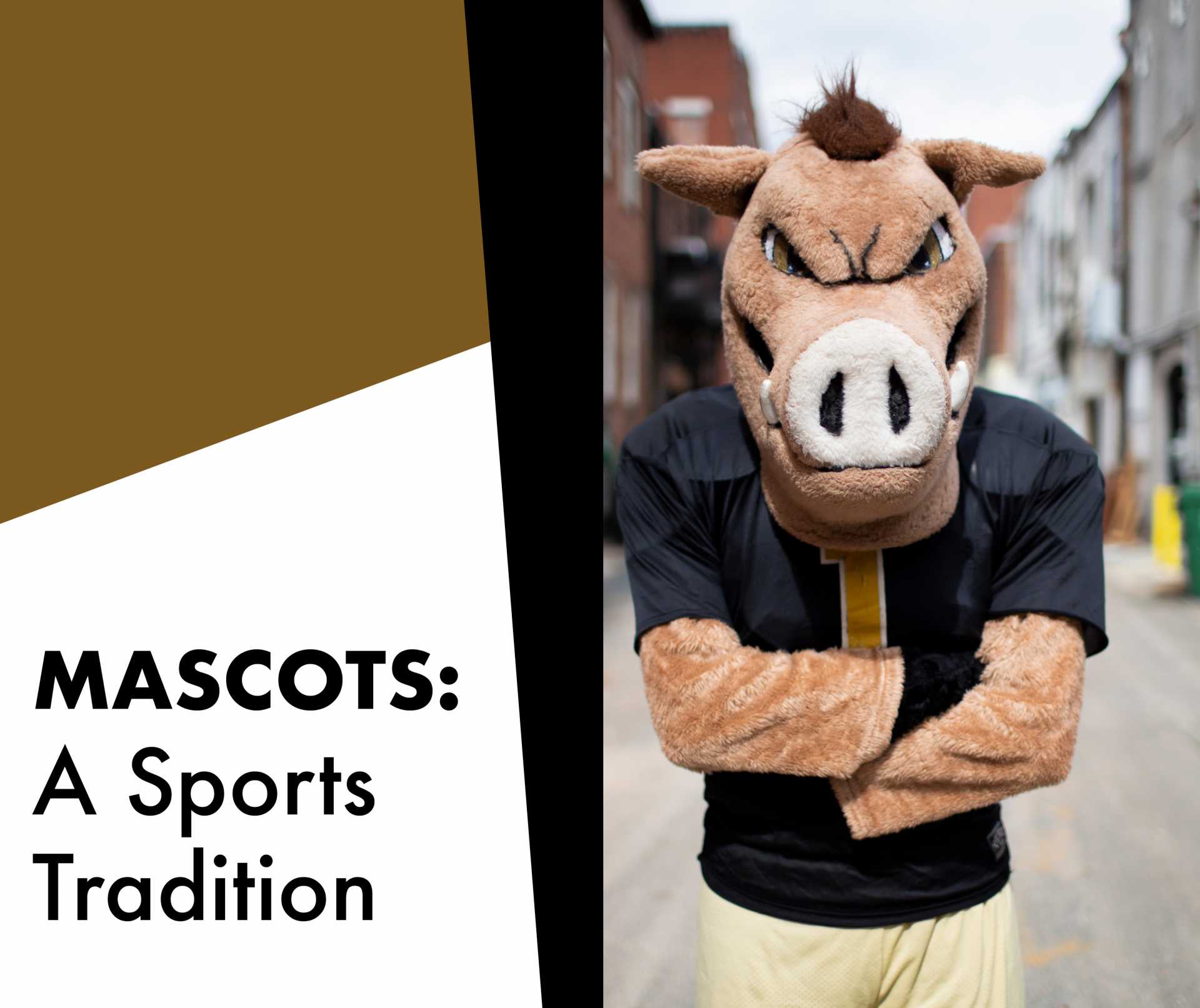 Mascots: A Sports Tradition - ITG Next
