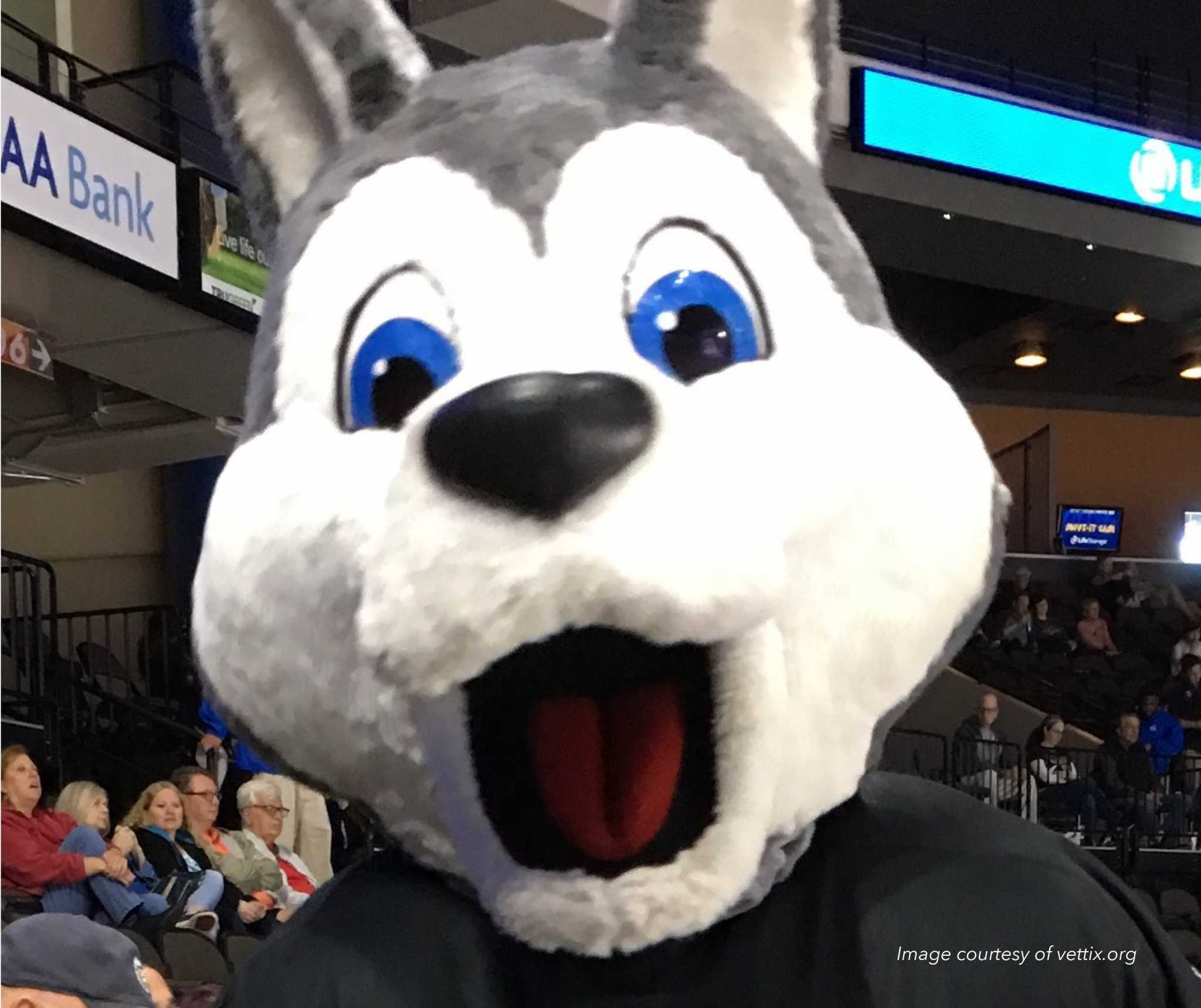 Fang for Mascot of the Year - ITG Next